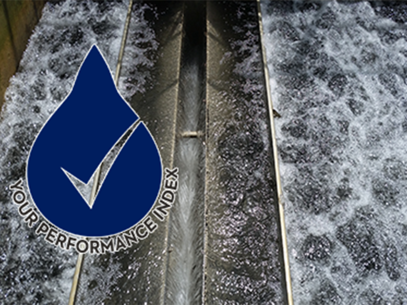 Make Your Backwash More Effective With 4 Simple Steps